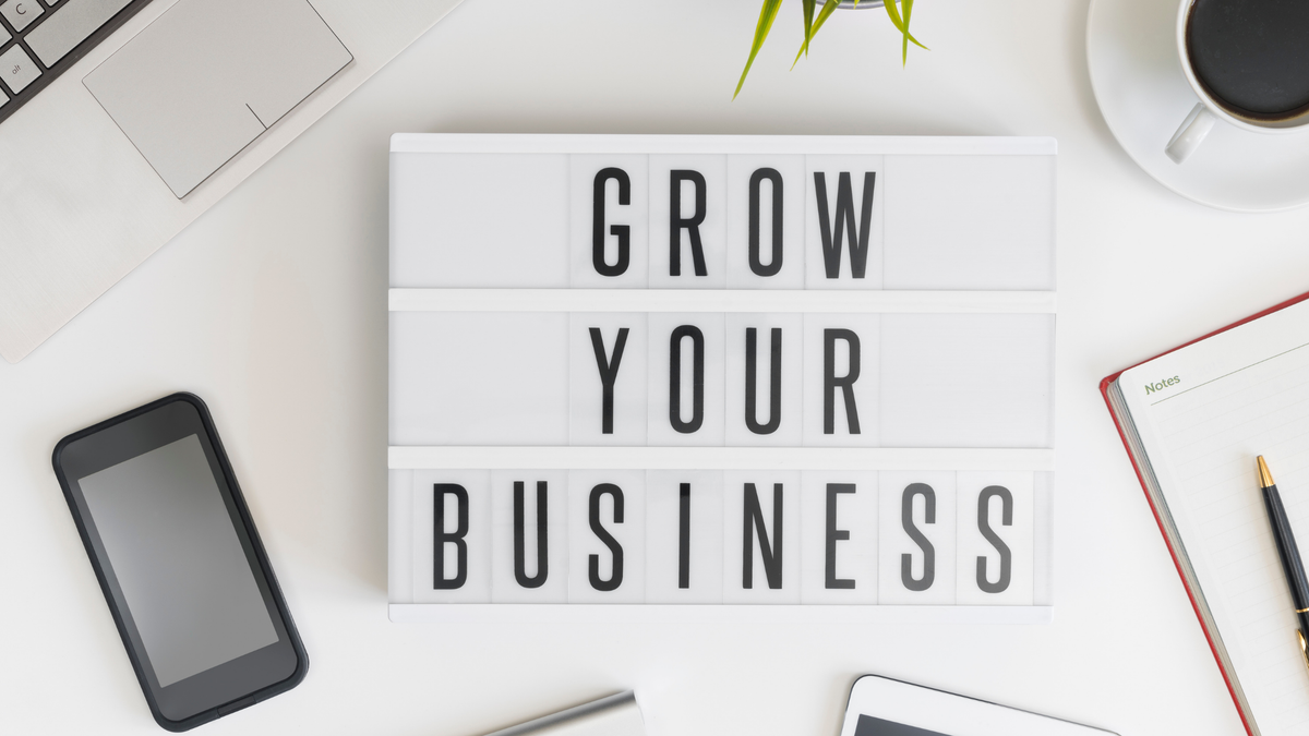 Cash Flow Mastery: Never Miss Payroll Again — CMS